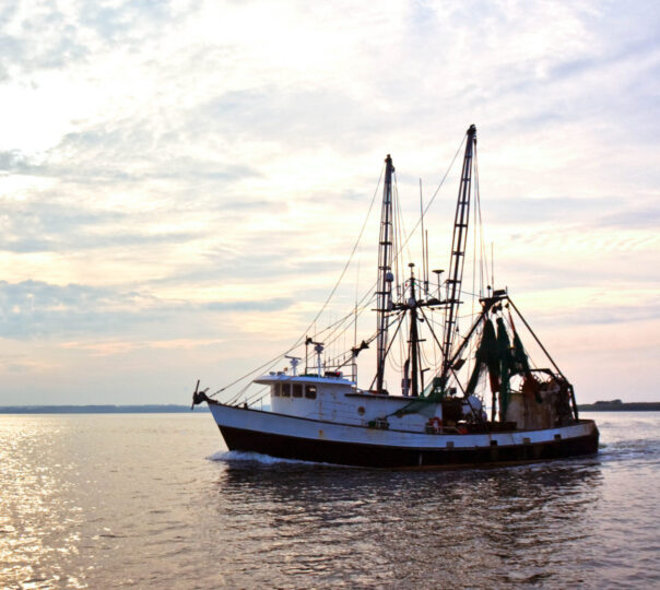 VETUS Commercial - VETUS