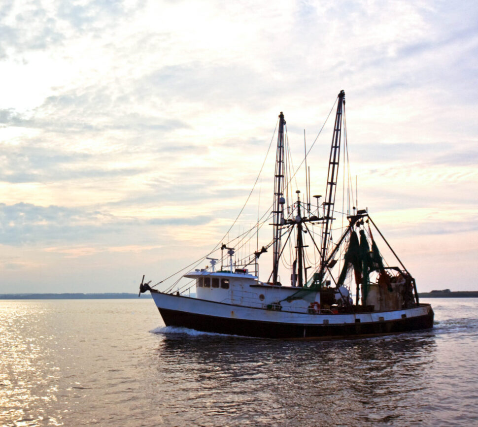 VETUS Commercial - VETUS